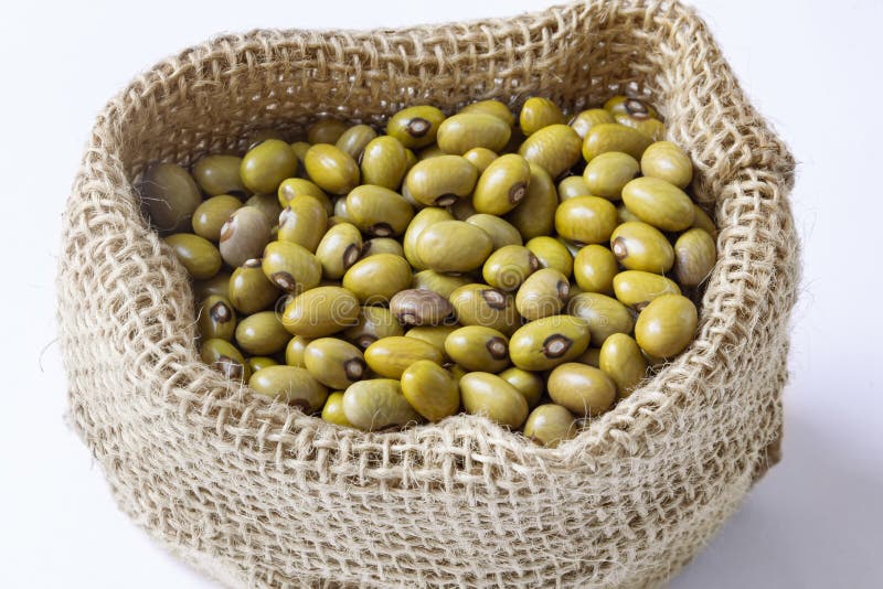 Jute Bag with Green Ball Beans Stock Photo - Image of nutrition ...