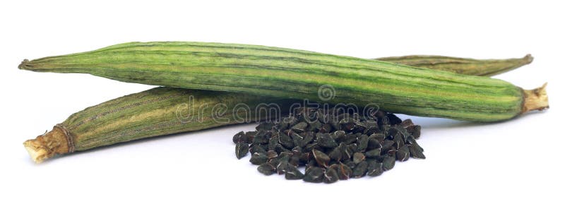 Jute seeds stock image. Image of seed, retro, dried, element - 42245371