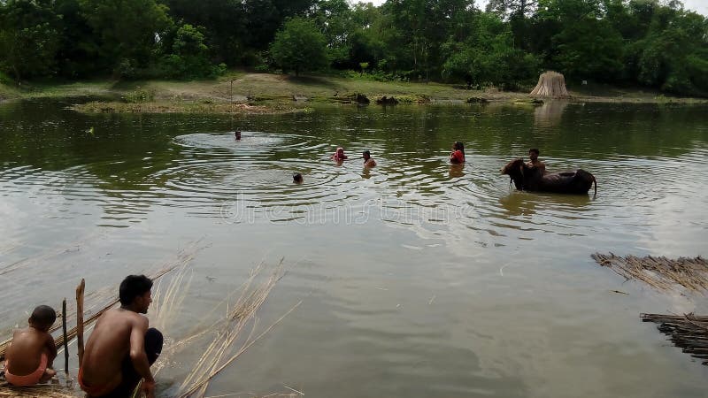 Jute washing editorial photography. Image of chitra - 116051952