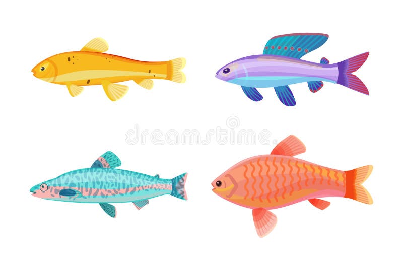 Juwel Cichlid Jack Dempsey Vector Illustration Vektor Abbildung ...