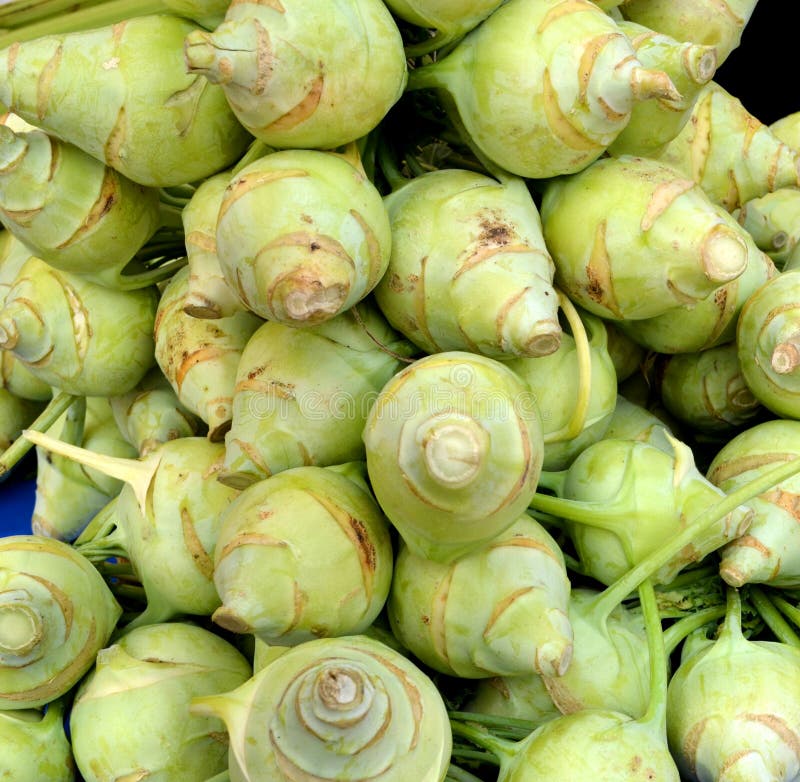 Kålrabbi arkivfoto. Bild av medf8ort - 17910738