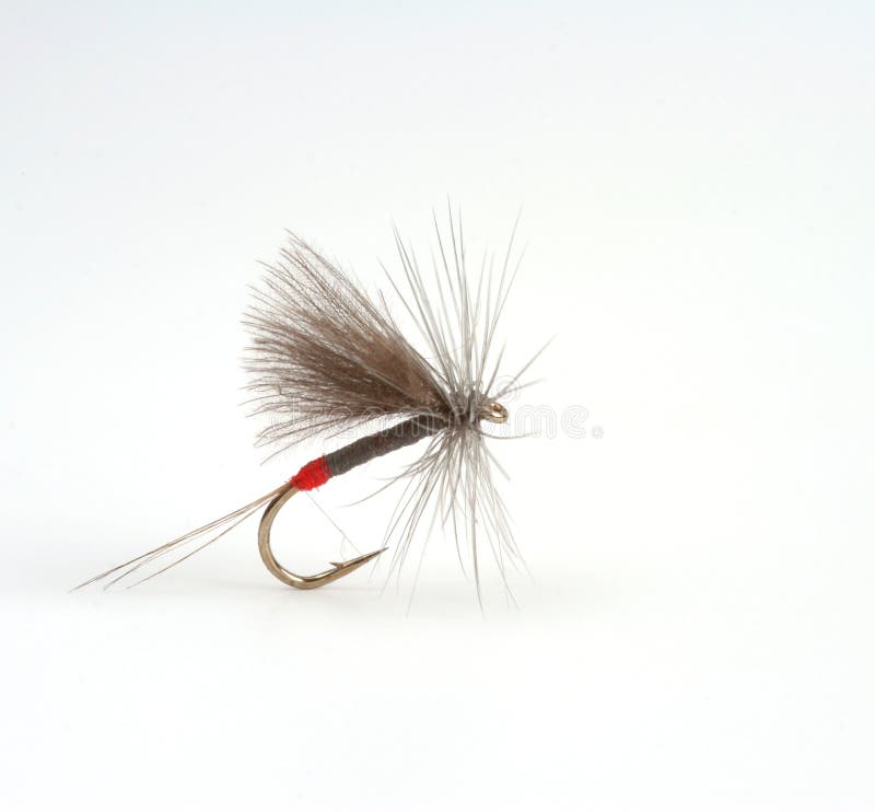 8,922 Made Der Fliege Stock Fotos - Freie & Royalty-Free Stock Fotos ...