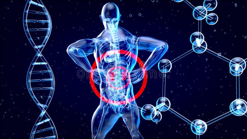 4K Abstract Anatomy Animation of Kidneys Stock Video - Video of ...