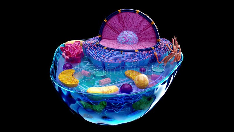 4K Abstract Animation of the Biological Cell Stock Video - Video of ...