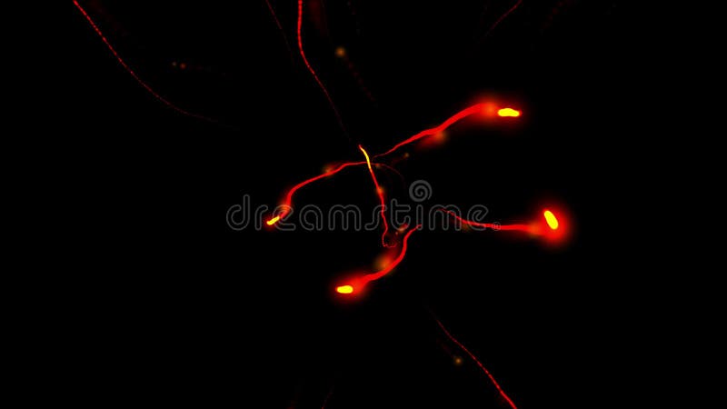 4k Abstract Red Particle Fire Smoke Fireworks Missile Background. Stock ...
