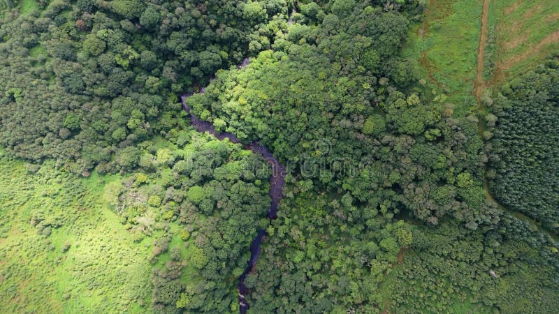 4K Aerial View of Four Waterfalls Walk and Forest in Brecon Beacons ...