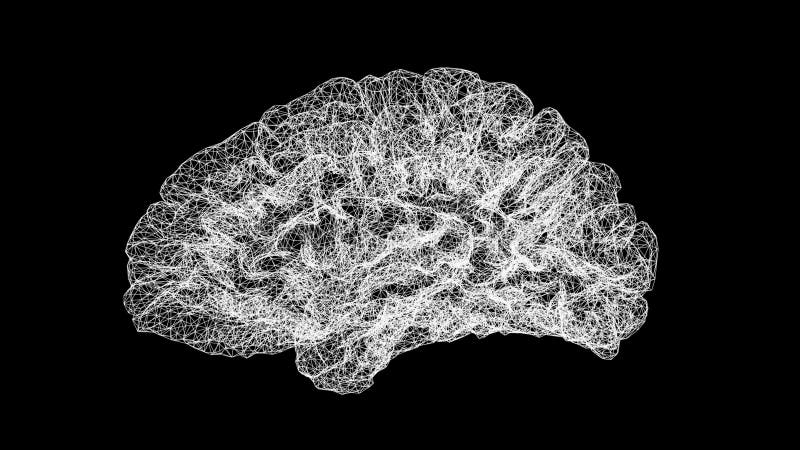 Abstract Old Science Brain Drawing Background Animation Stock Video ...