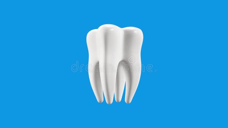 Molar Tooth Spinning Animation Stock Video - Video of dentistry, object ...