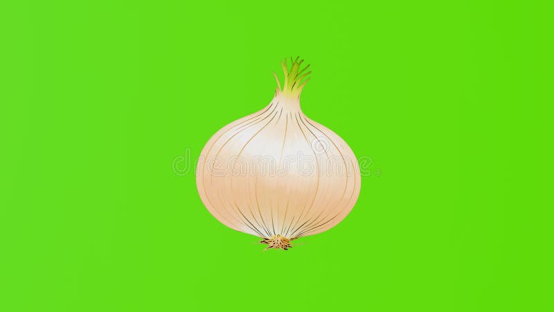4k Animation of the Onion Icon Isolated on a Green Screen Stock Video ...