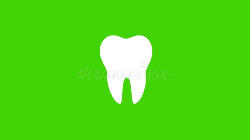 4k Animation of White Tooth Icon Isolated on Green Screen Stock Video ...