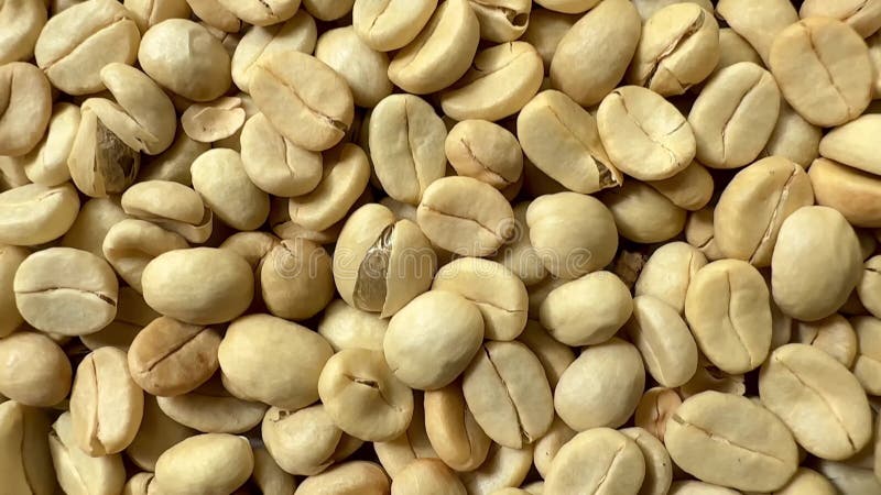 Thai Arabica and Robusta Fully Washed Process for Home Roasting Green ...