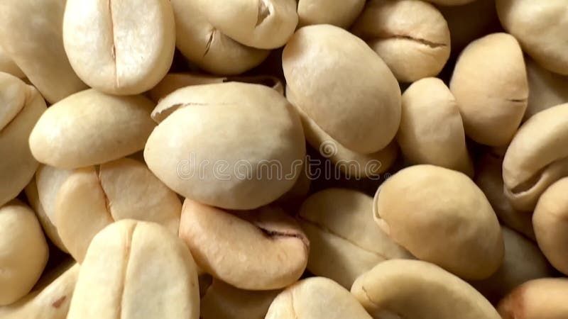 Thai Arabica and Robusta Fully Washed Process for Home Roasting Green ...