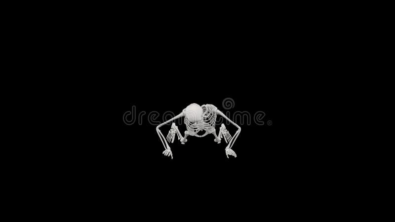 Skeleton Dancing - Halloween Concept Stock Footage - Video of ortho ...