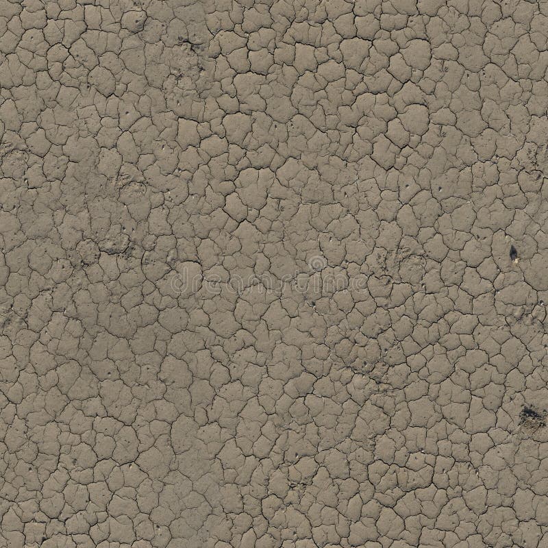8K Dry Ground Diffuse and Albedo Map for 3d Materials Stock Image ...
