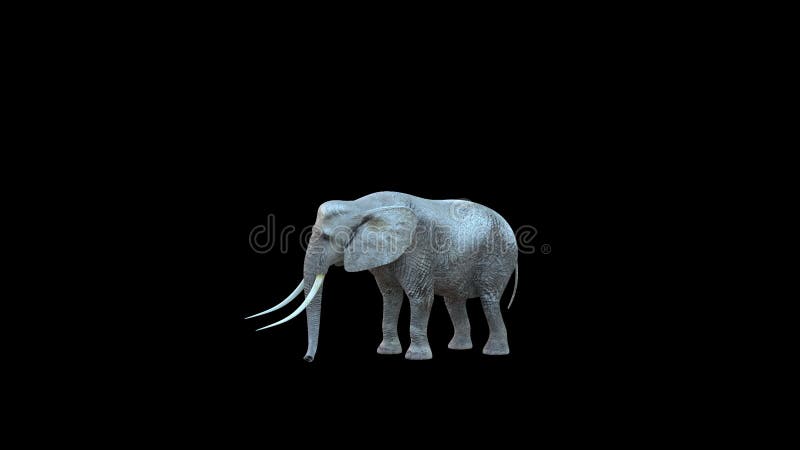 4K Elephant Attack 3D Video Animation Stock Footage - Video of wildlife ...