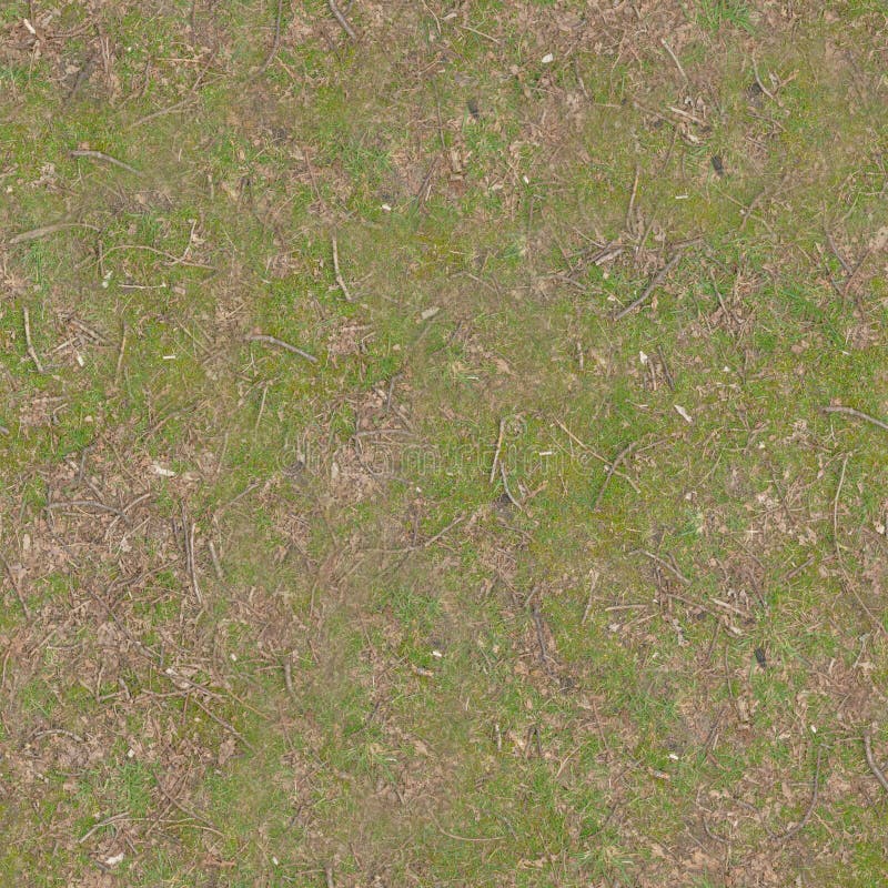 8K Forrest Ground Diffuse and Albedo Map for 3d Materials Stock Photo ...