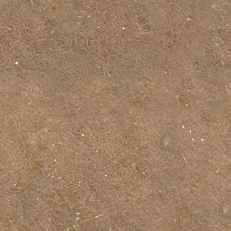 8K Forrest Ground Diffuse and Albedo Map for 3d Materials Stock Image ...