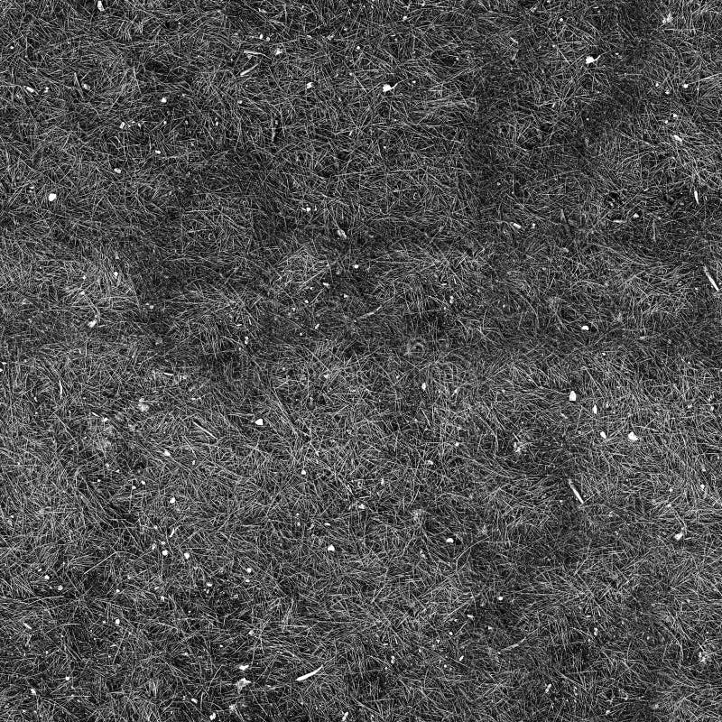 8K Forrest Ground Roughness Texture, Height Map or Specular for ...