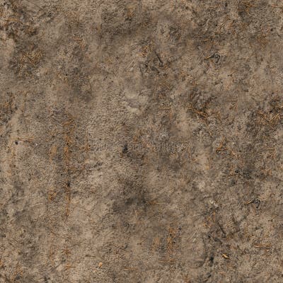 8K Forrest Sand Ground Diffuse and Albedo Map for 3d Materials Stock ...