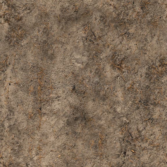8K Forrest Sand Ground Diffuse and Albedo Map for 3d Materials Stock ...