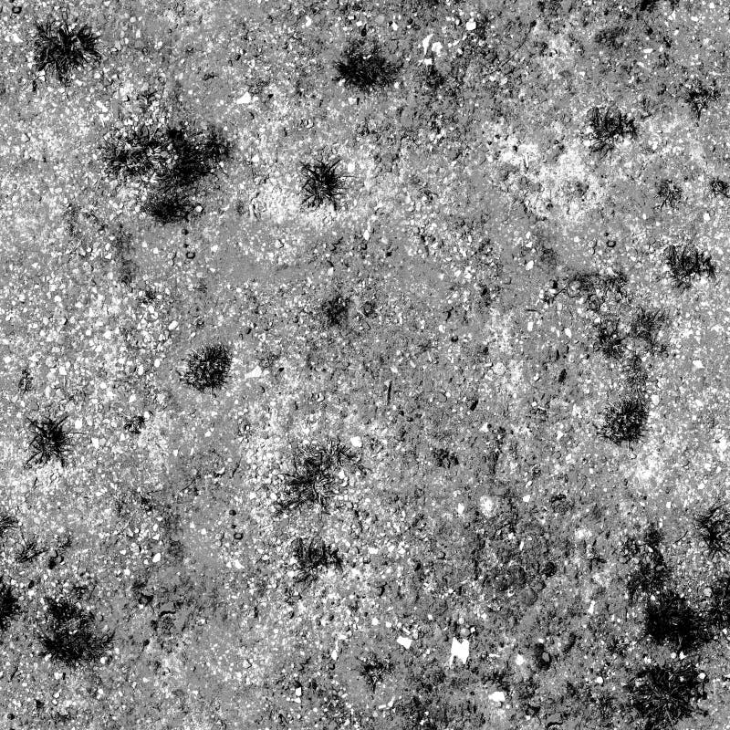 8K Grass Path Roughness Texture, Height Map or Specular for ...