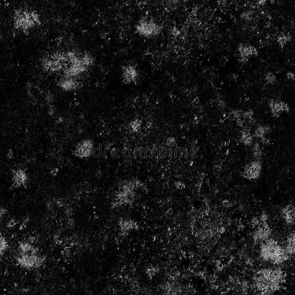 8K Grass Path Roughness Texture, Height Map or Specular for ...