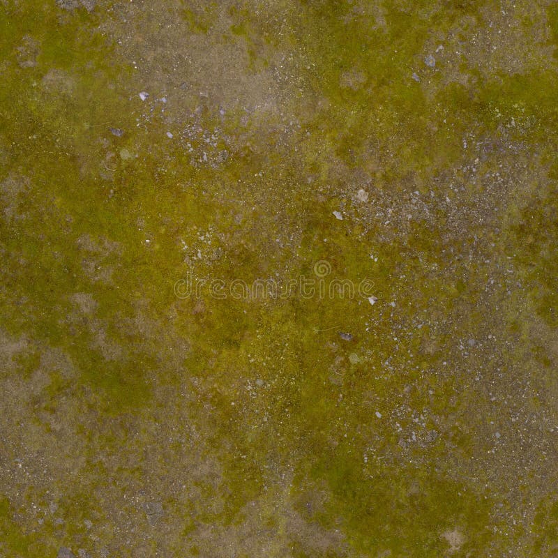 8K Grass Rock Diffuse and Albedo Map for 3d Materials Stock Photo ...