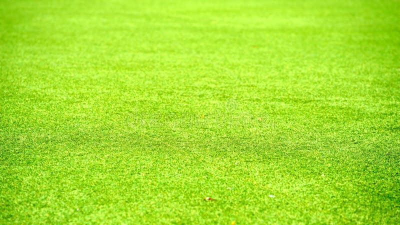 8k Green Turf Fake Grass Background Stock Footage - Video of static ...