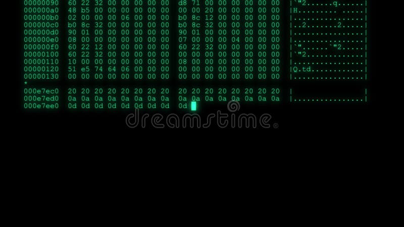 Hacker Code Running Down A Computer Screen Terminal 4k Stock Video 9385