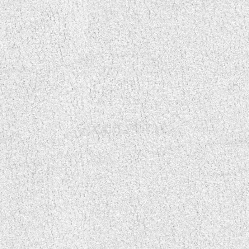 8K Leather Roughness Texture, Height Map or Specular for Imperfection ...