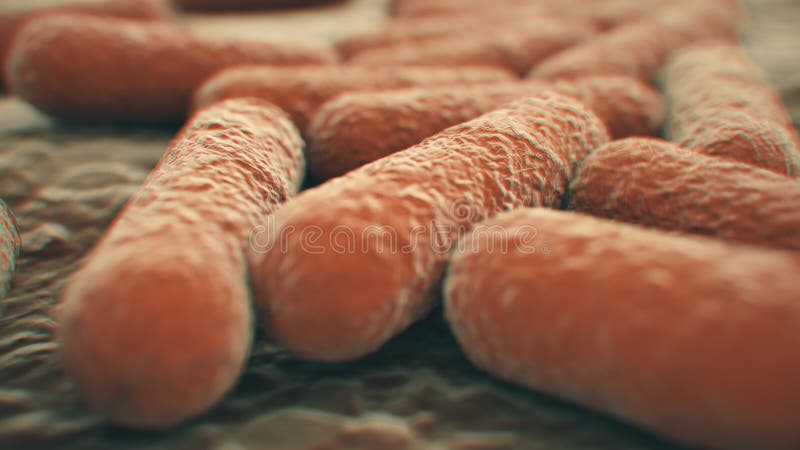 Micro Bacterial. Bacteria Colony, Microbiome and Bacteria Inside ...
