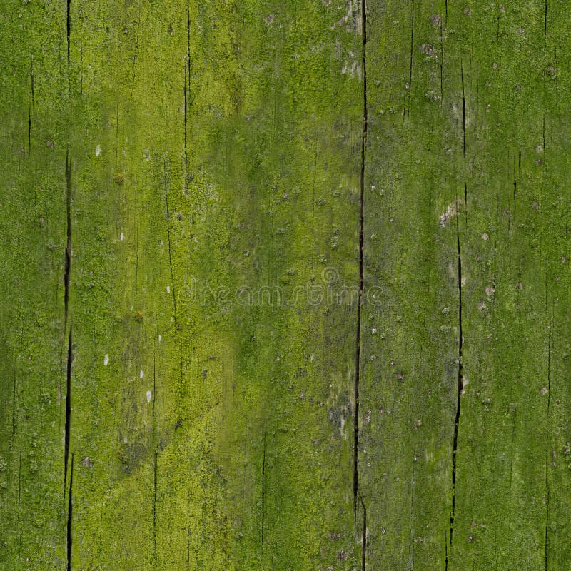 8K Moss Wood Diffuse and Albedo Map for 3d Materials Stock Illustration ...