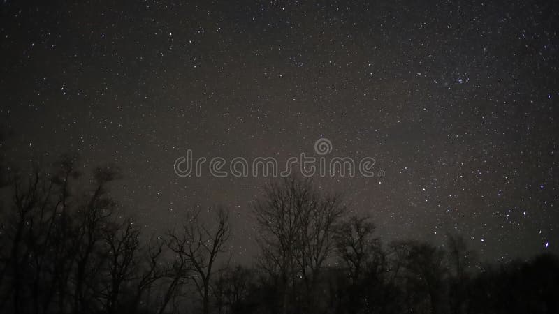 Movement Night Sky, Rotation Milky Way Galaxy Stars, Constellation ...