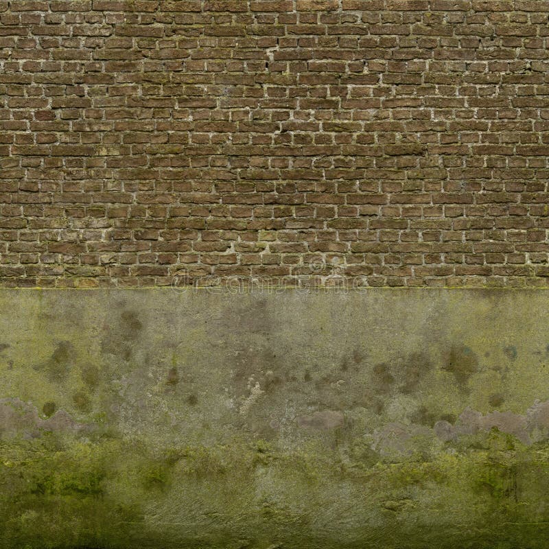 8K Plaster Brick Diffuse and Albedo Map for 3d Materials Stock ...