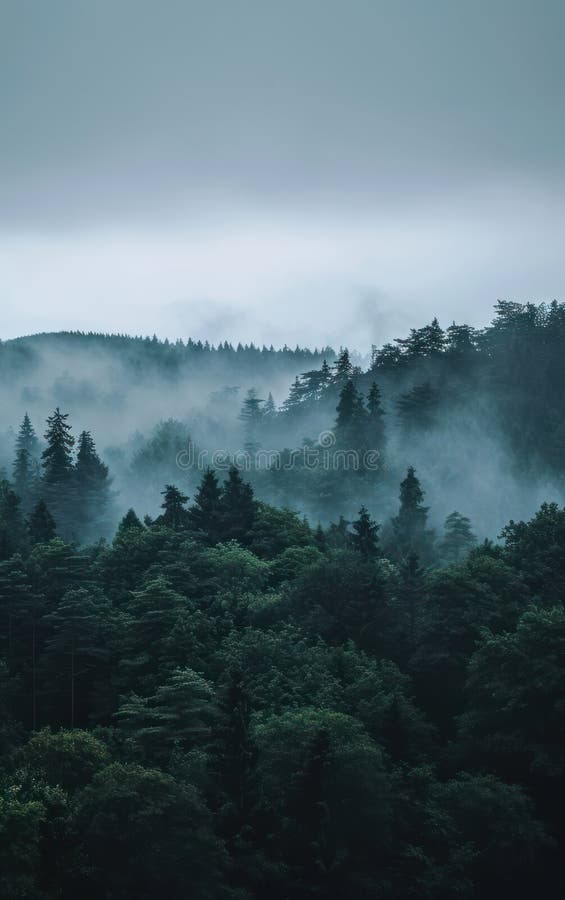 8k Resolution Vertical Nature Wallpaper. Screensaver Background Stock ...