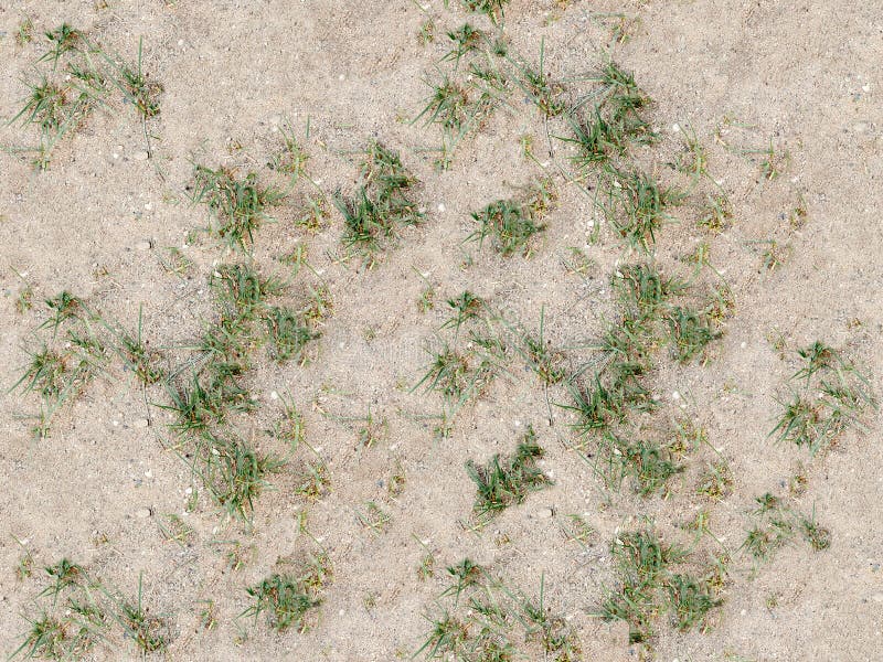 Seamless Ground Texture with Small Grass, Trampled Grass, High ...