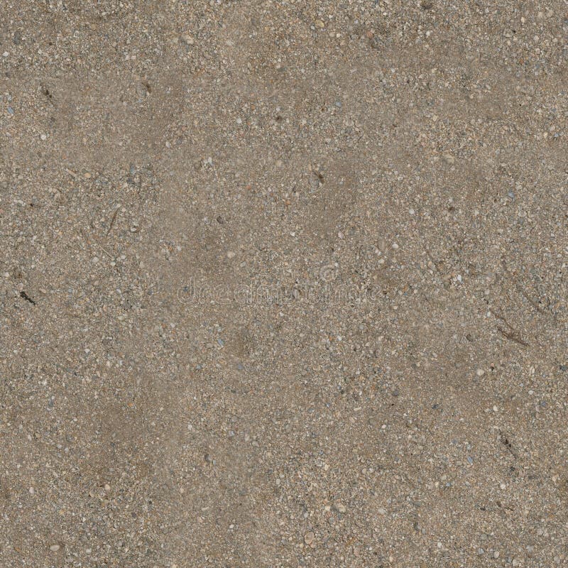 8K Shell Floor Diffuse and Albedo Map for 3d Materials Stock ...