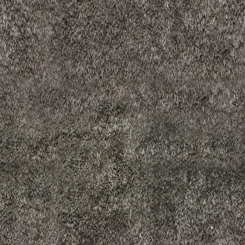 8K Slender Riet Roughness Texture, Height Map or Specular for ...