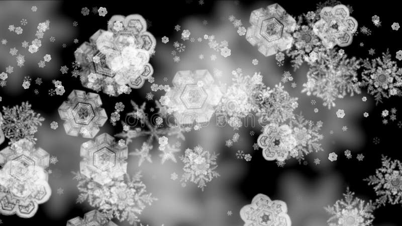 4k Snowflake Fall,winter Snow Background,romantic Christmas Particle ...
