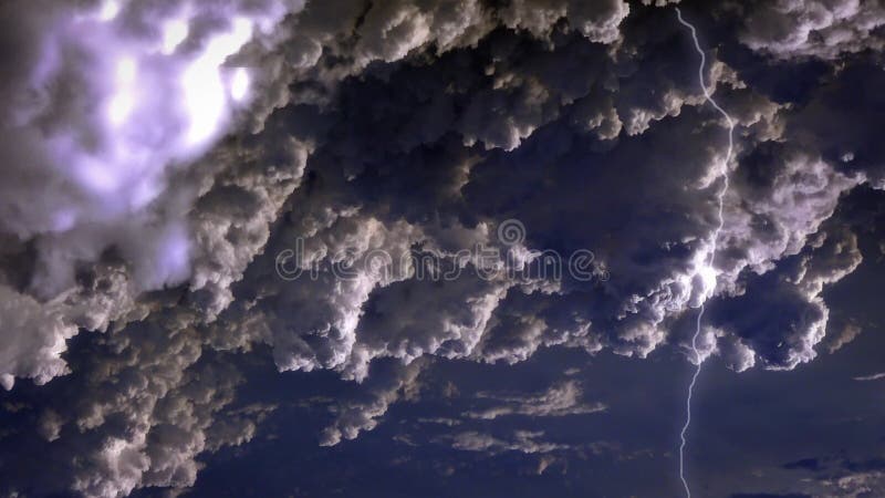 Spectacular Thunderstorm Lightning Strikes Reveal Trees at Night. Stock ...