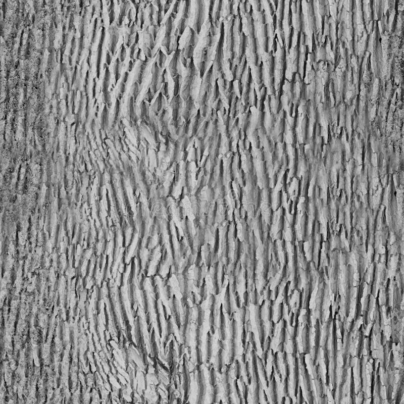 Roughness Map Texture, Grunge Map, Imperfection Texture, Grayscale ...