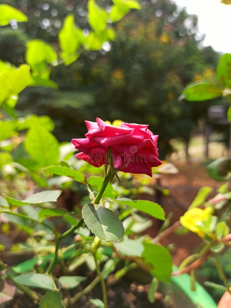 1,679 4k Wallpapers Comc Stock Photos - Free & Royalty-Free Stock ...