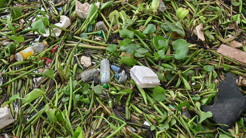 Garbage Floating in a River Stock Video - Video of floating, littering ...