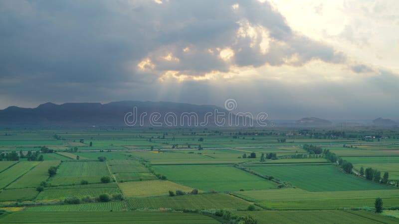 8K Wide Flat Plain Covered with Green Fields Stock Footage - Video of ...