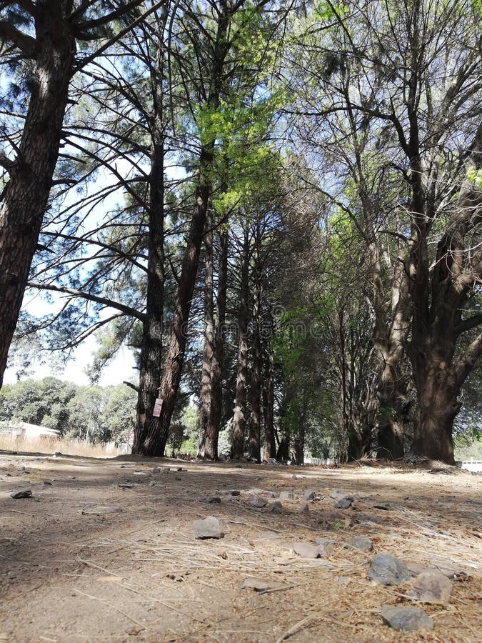 Kaalfontein stock image. Image of kaalfontein, blue - 165889873