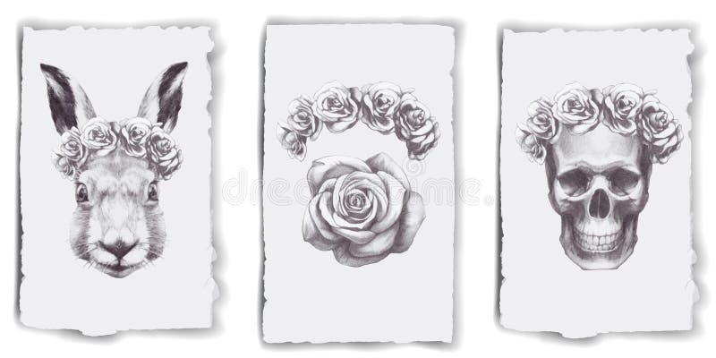 Kaarten Met Rozen, Konijn En Schedel Stock Illustratie - Illustration ...