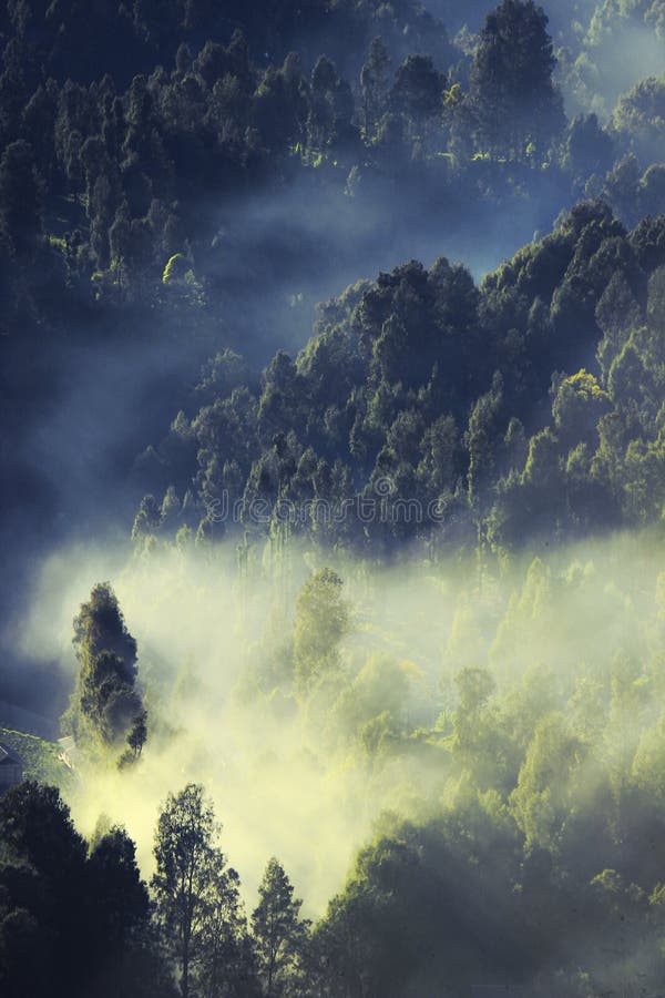 Kabut Pagi Di Terpa Sinar Matahari Di Bromo Stock Image - Image of pagi ...