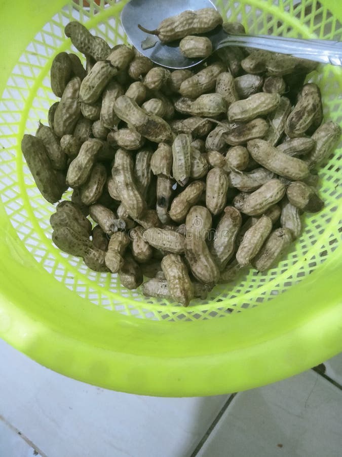 Kacang Rebus Buat Sarapanagi Stock Image - Image of kacang, sarapan ...