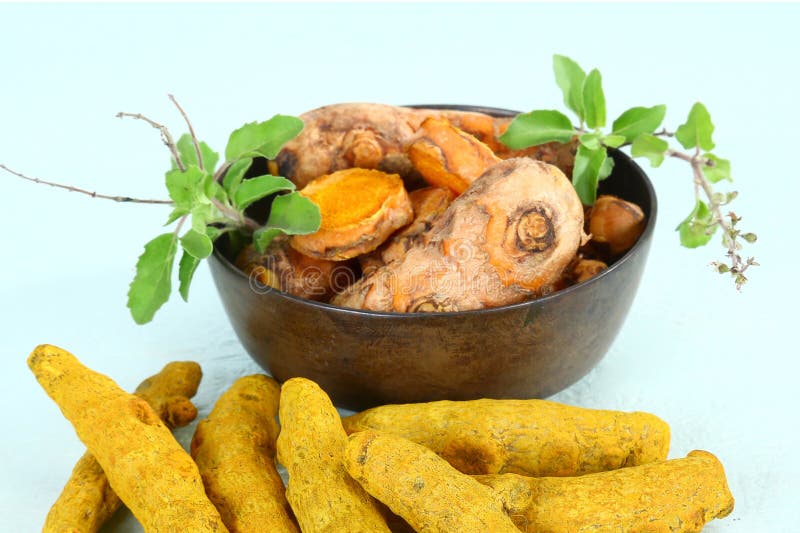 Kacchi Haldi or Raw Turmeric, Indian Spice Stock Image - Image of haldi ...