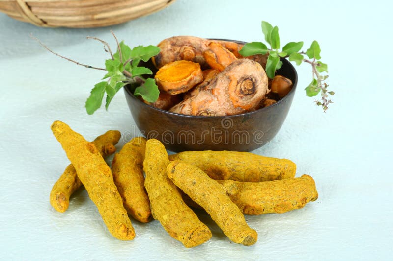 Kacchi Haldi or Raw Turmeric, Indian Spice Stock Image - Image of haldi ...